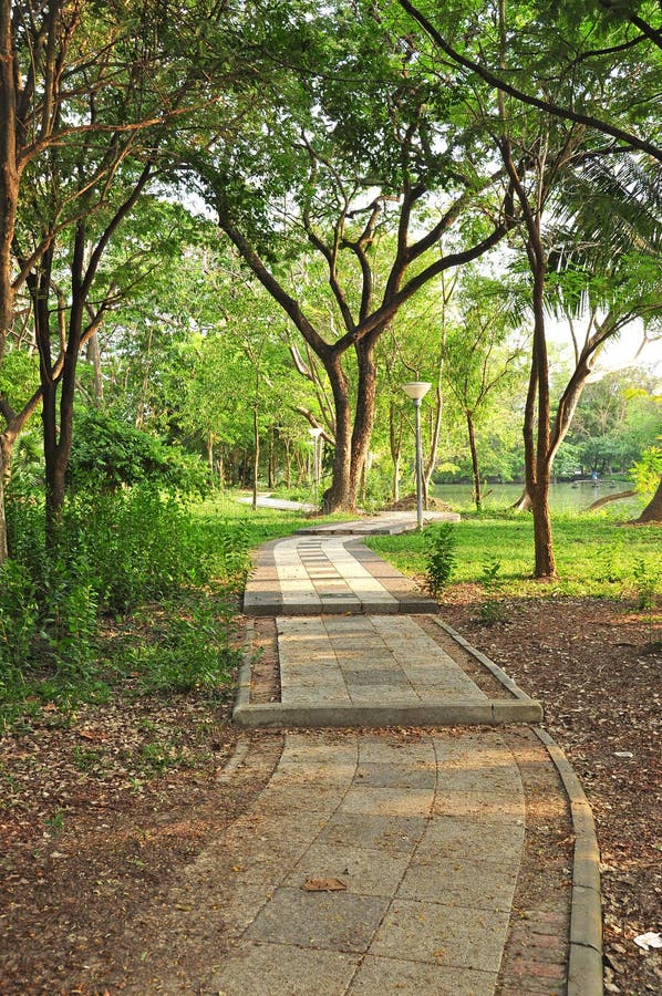 Pathway in Green Park stock photo. Image of abstract - 26615752