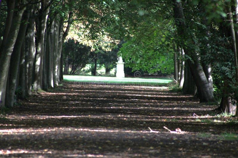 Pathway in a Green Park with Tall Trees Stock Photo - Image of ...