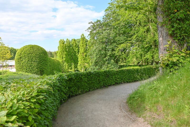 Pathway through Green Trees Stock Photo - Image of park, green: 220765076
