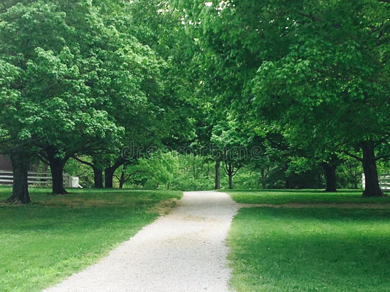 Pathway in Green Trees stock photo. Image of green, pathway - 91562040