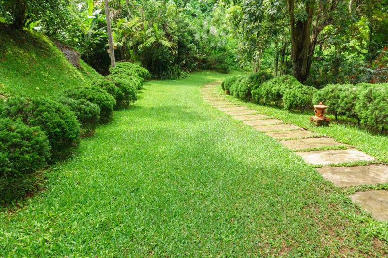 Greenery Lawn with Ornamental Trees in Outdoor Garden Stock Image ...