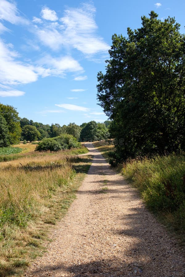 Pathway in Hampstead Heath Park, a Walk into Nature Stock Photo - Image ...