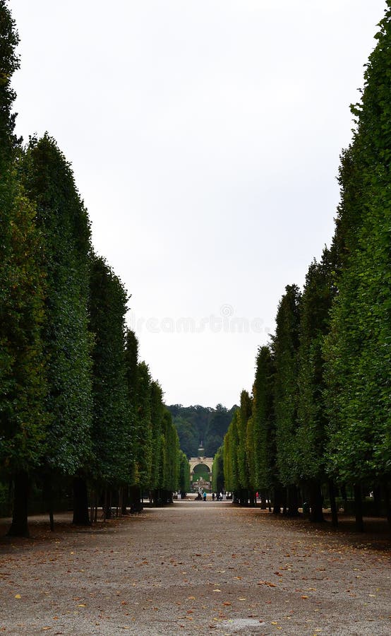 Pathway with high trees stock photo. Image of archway - 26546144