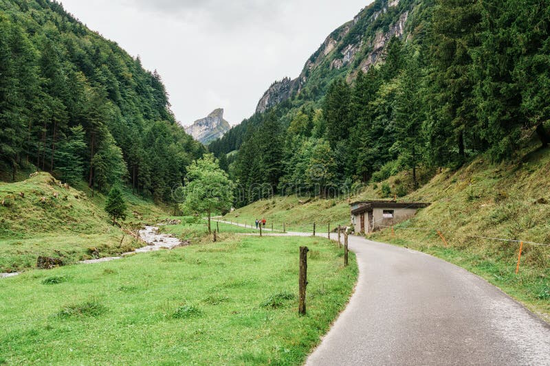 Pathway of Hiking Trail in the Valley during Summer Stock Image - Image ...