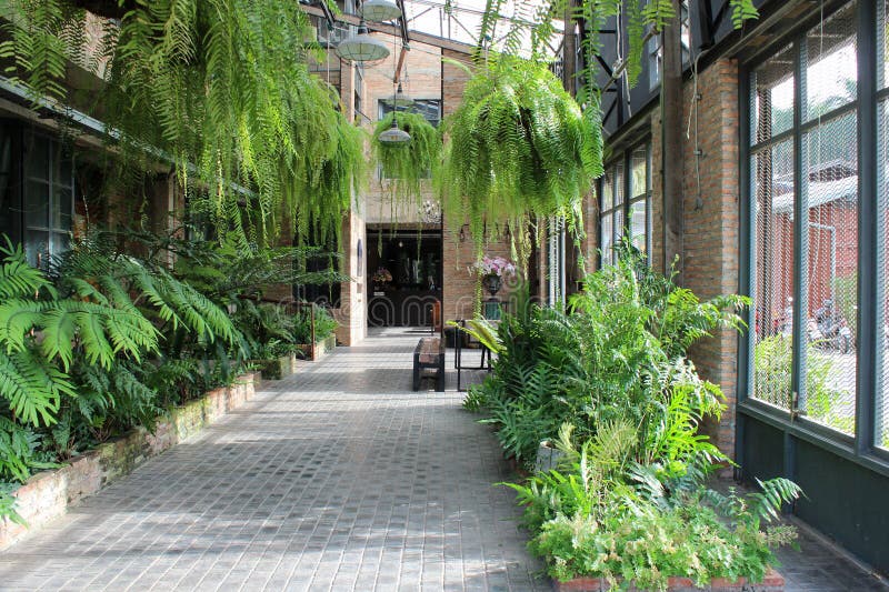 Pathway in hotel resort stock photo. Image of pathway - 318375374