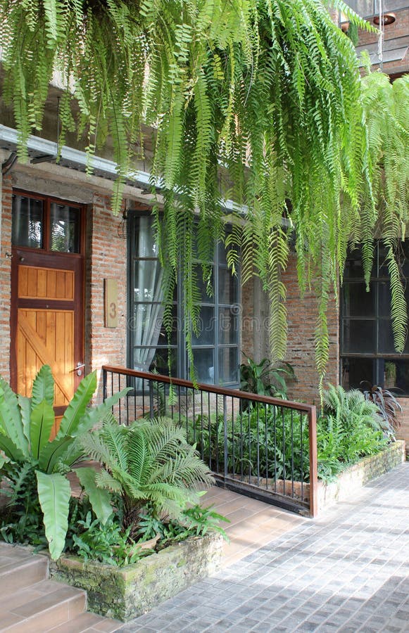 Pathway in hotel resort stock image. Image of lane, tree - 318375377