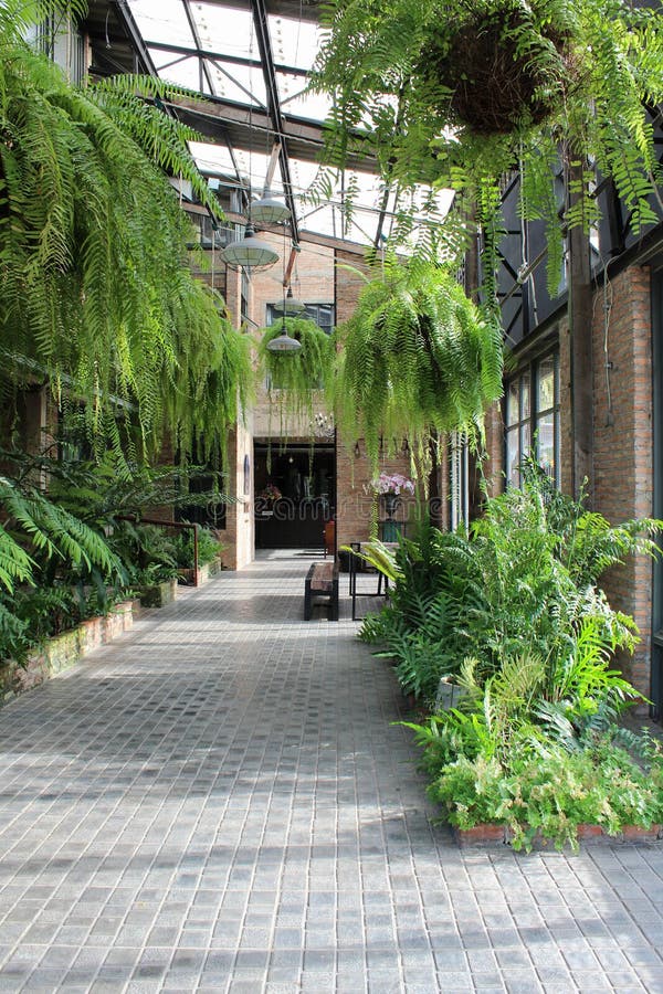 Pathway in hotel resort stock photo. Image of landscape - 318375392