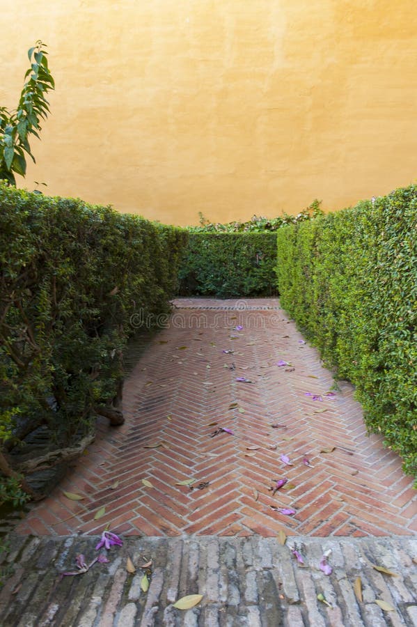 Pathway Inside a Labyrinth in a Garden with Orange Plaster Wall Stock ...