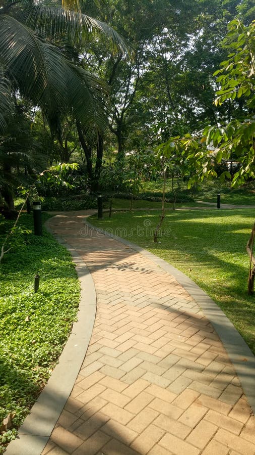 Pathway stock photo. Image of walk, pathway, path - 112844512