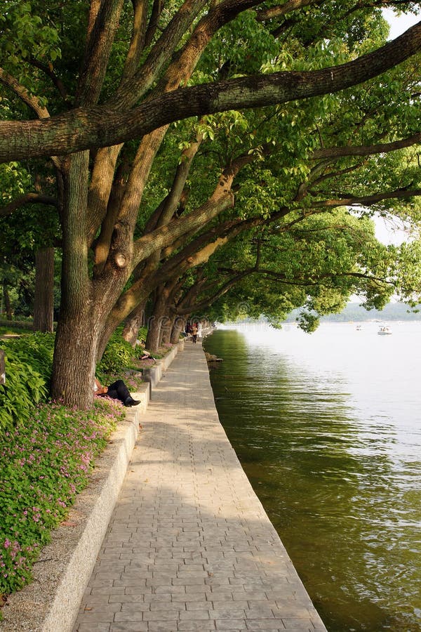 Pathway by lake stock photo. Image of route, water, distance - 5211760