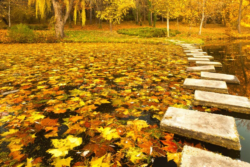 Pathway in the lake stock image. Image of autumn, outdoors - 90476753