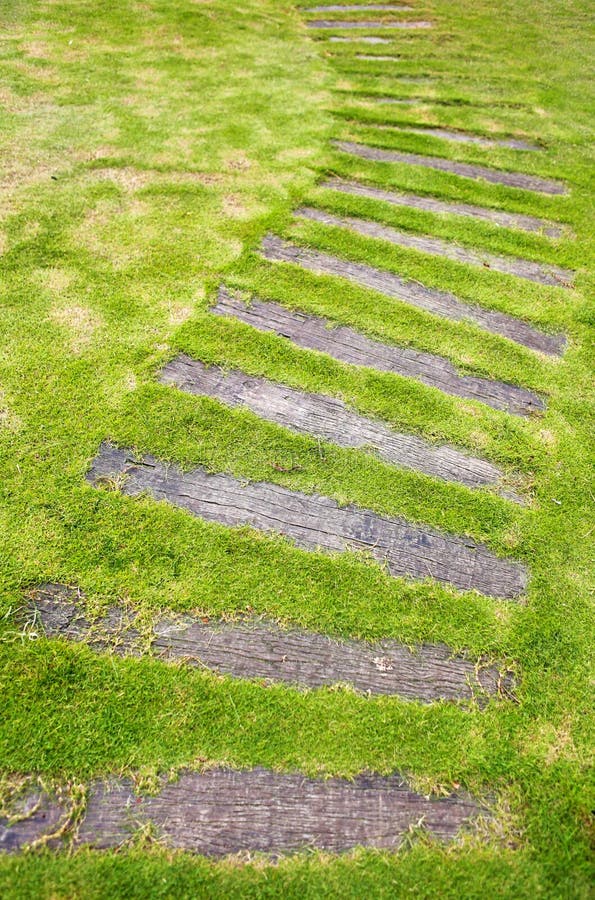 The Stone Block Pathway in the Lawn Stock Image - Image of garden ...