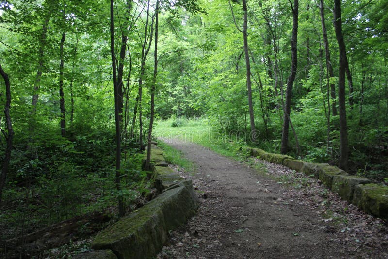 A Pathway Leading into a Forest Stock Photo - Image of stone, trees ...