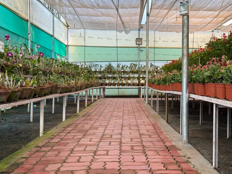 Pathway Leading To Flower Pots Placed Left and Right Side of the ...