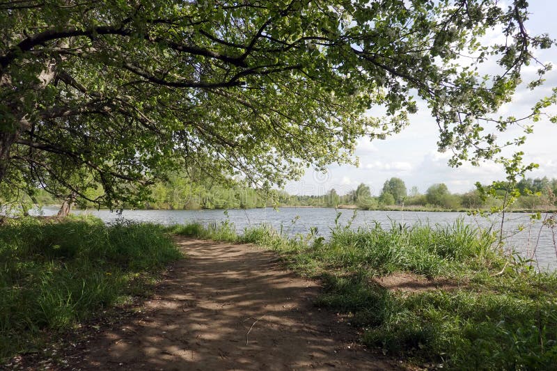 Pathway Leading To the Peaceful Rural River Under a Shadow Tree Canopy ...