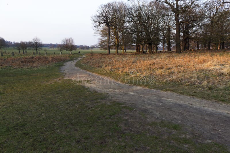Pathway leading to people stock photo. Image of forest - 68590206