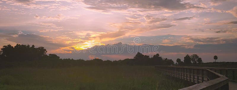 Pathway Leading To a Sunset Over a Florida Marsh Stock Photo - Image of ...