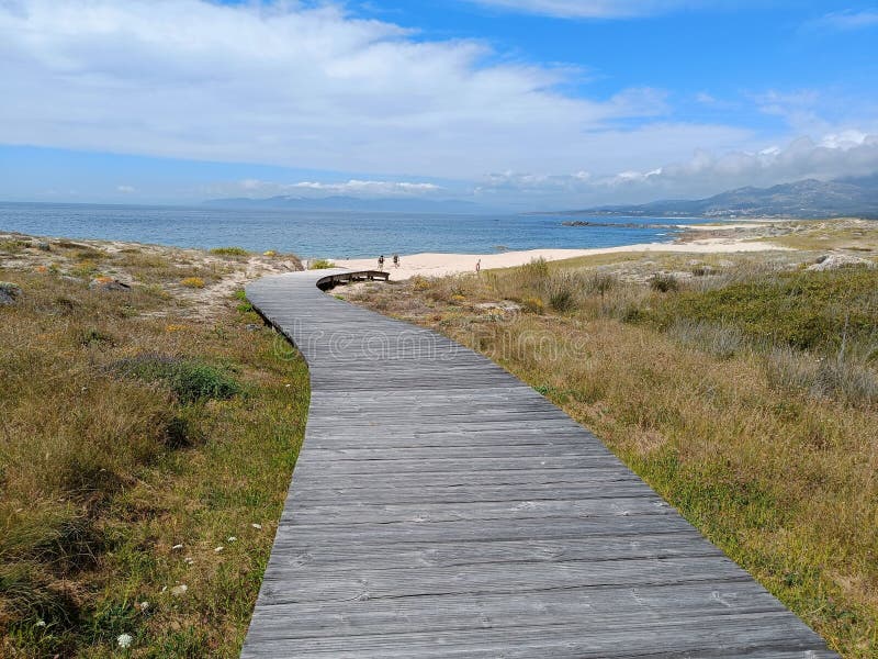 Pathway Leading To a Wild Beach Stock Image - Image of landscape ...