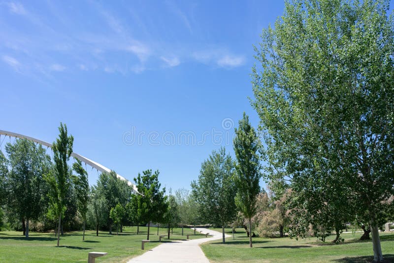 Pathway Lined with Green Trees in a Public Park Stock Image - Image of ...