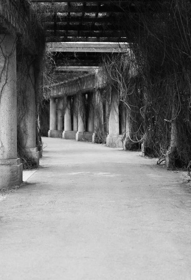 Pathway Lined with Pillars and Vines in a Tranquil Garden Setting Stock ...