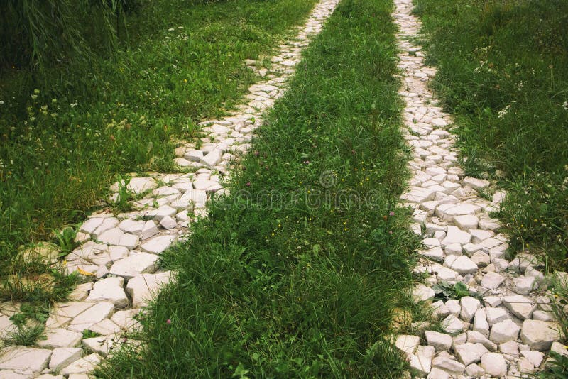 Pathway Lined with Stones and Grass Stock Photo - Image of design ...