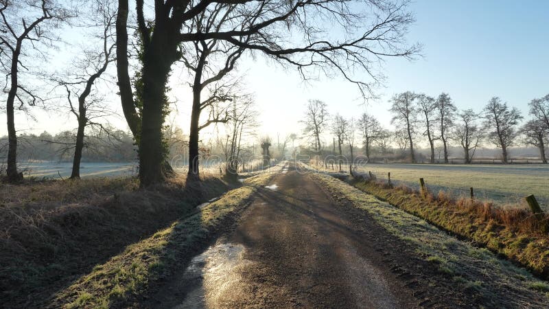 Pathway Lined with Tall-leafless Trees, Passing through Rural Fields at ...