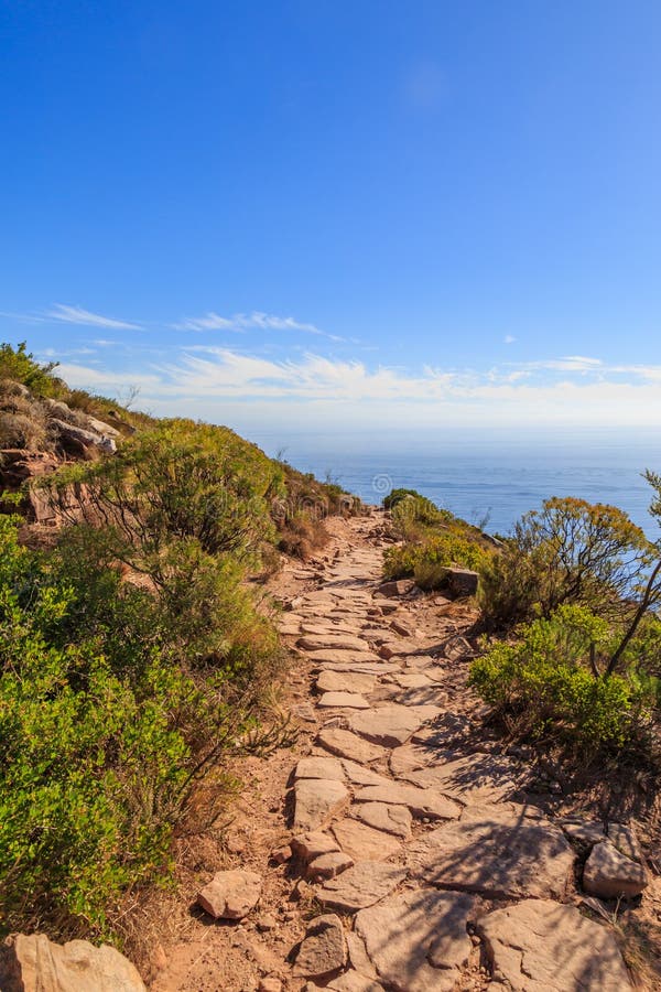 A Pathway on Lion`s Head Trail Stock Image - Image of south, lions ...