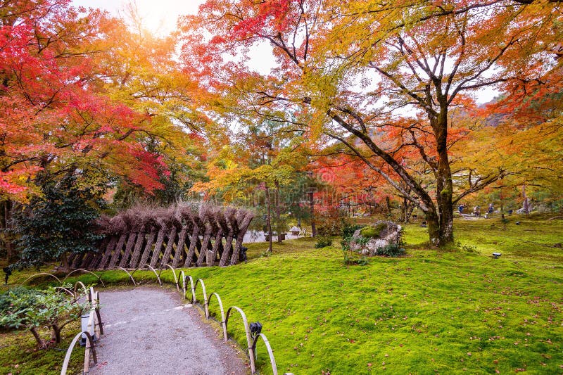 Pathway through a Lush Garden with Grass and Trees Stock Photo - Image ...