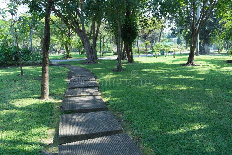 Pathway in a lush park stock photo. Image of green, walkway - 107777070