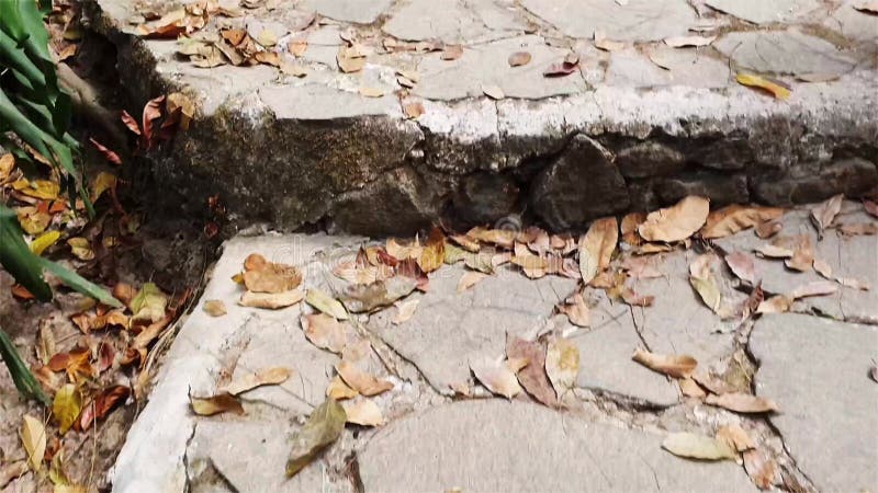 Pathway Made of Cement and Stones Inside a Park Stock Video - Video of ...