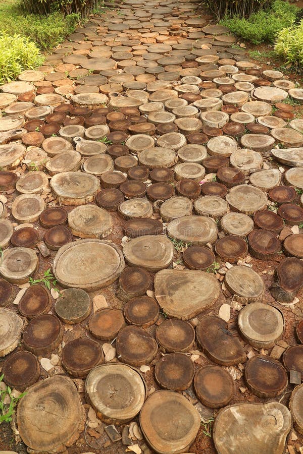 Pathway Made of Tree Stumps in a Garden Stock Photo - Image of park ...