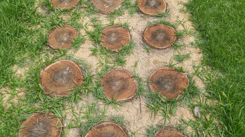 Pathway Made by Tree Trunks Stock Photo - Image of garden, trunk: 165978122