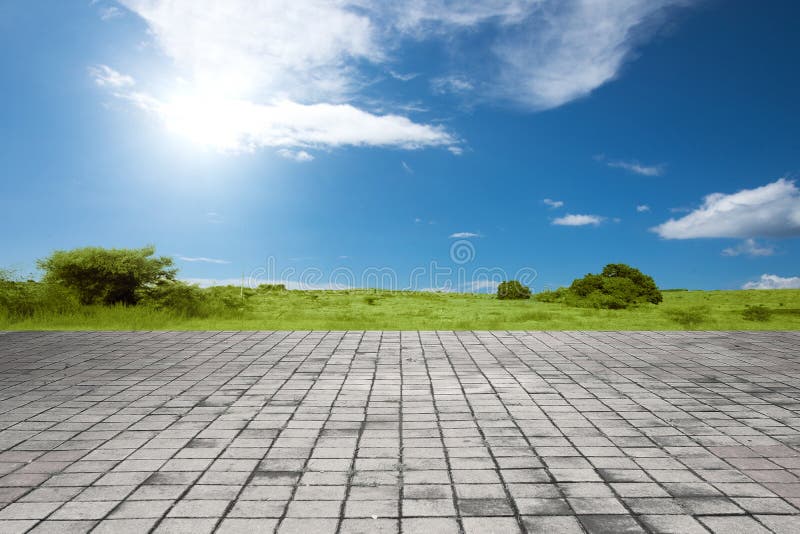 Pathway with Meadow Field View Stock Photo - Image of landscaped ...