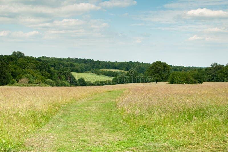 Pathway through a meadow stock photo. Image of fields - 59040968