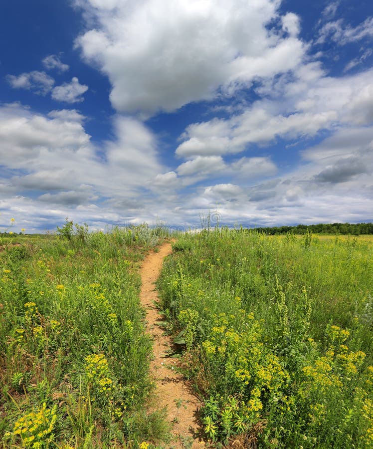 Pathway on meadow stock photo. Image of nature, ground - 31296788