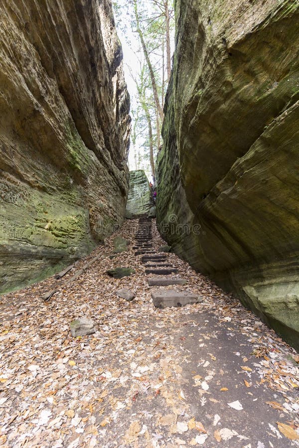 Pathway in the Middle of Cliffs in a Forest Captured during the Daytime ...