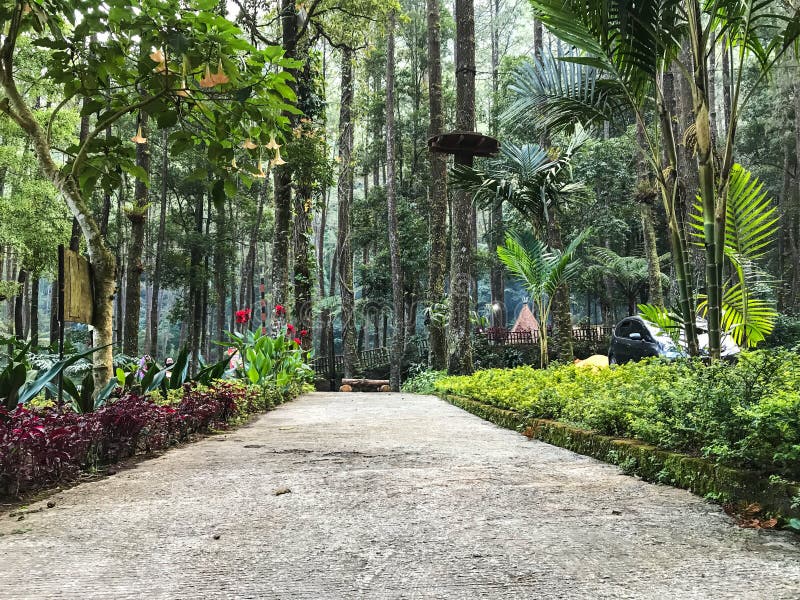 Pathway in the Middle of Nature Preserve Stock Image - Image of fresh ...