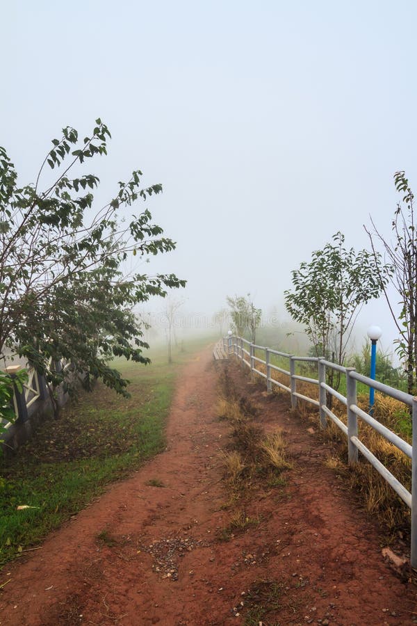 Pathway in the mist stock photo. Image of foliage, fantasy - 57005578
