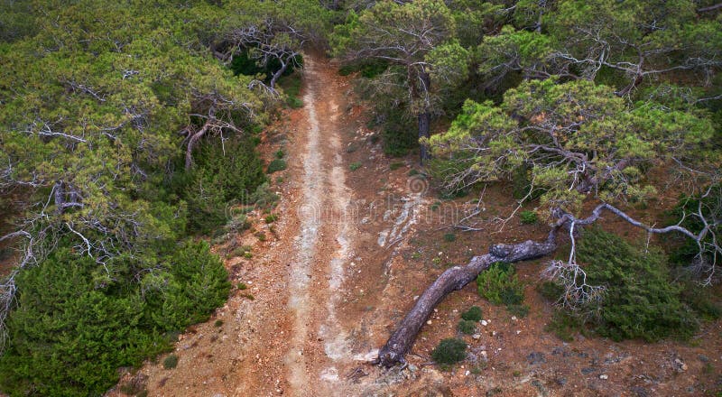 Pathway in Mountain Forest, View from Above Stock Photo - Image of ...