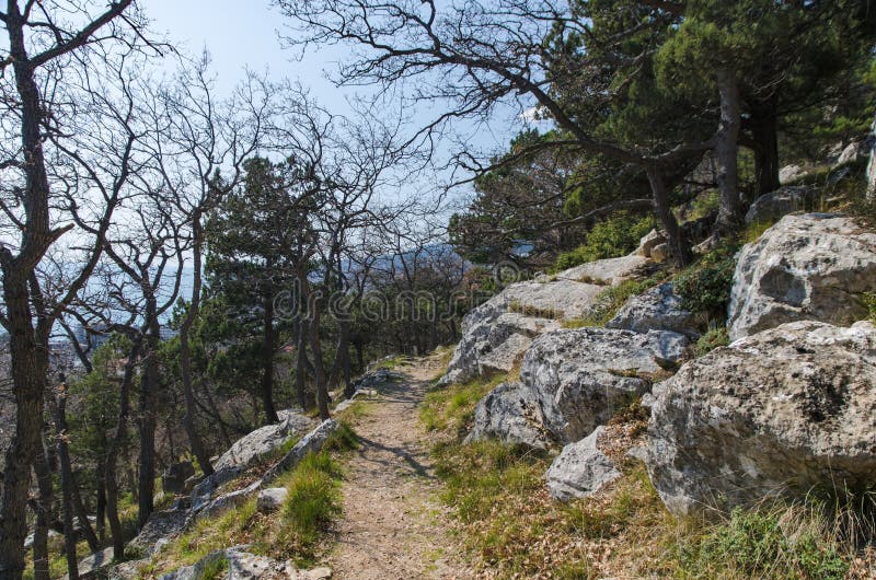 Pathway in mountain stock image. Image of stone, spring - 143125975
