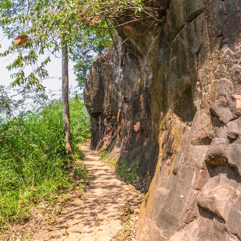 Pathway in mountain stock image. Image of curve, plant - 48741917