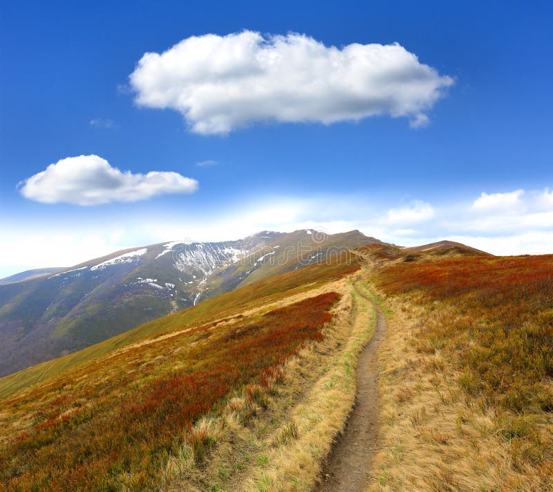 Mountain Pathway in Deep Forest Stock Image - Image of landscape, path ...