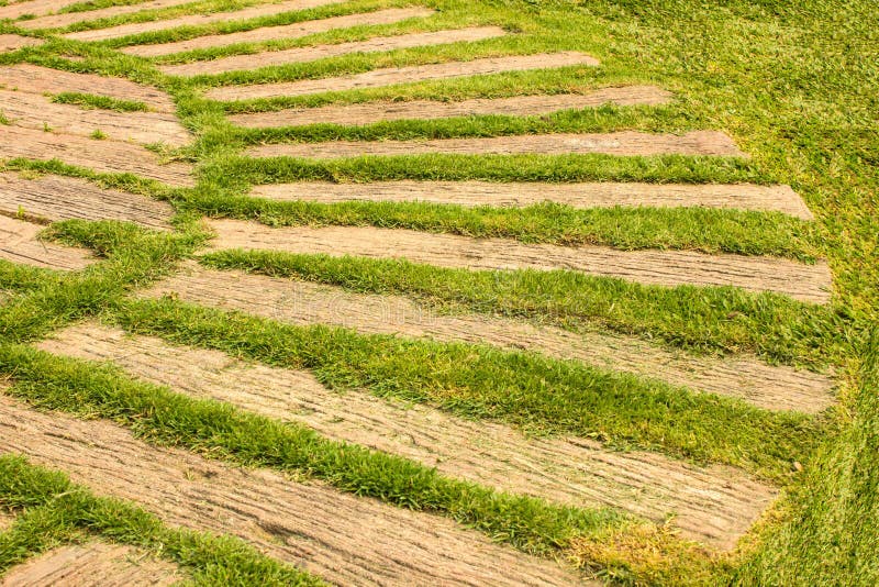 Pathway with Natural Green Grass. Stock Image - Image of harmony, park ...