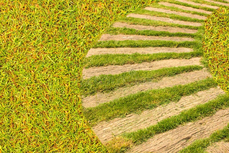 Pathway with Natural Green Grass Stock Photo - Image of environment ...