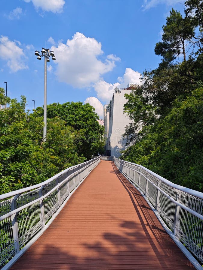 Pathway in Nature in Guangzhou China Stock Image - Image of summer ...