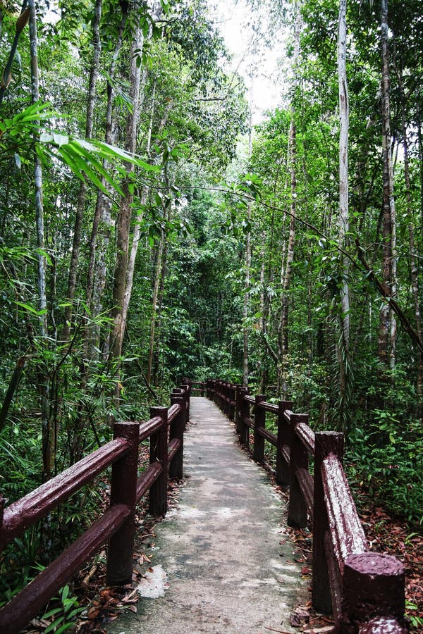 Pathway stock image. Image of direction, footpath, ground - 40712093