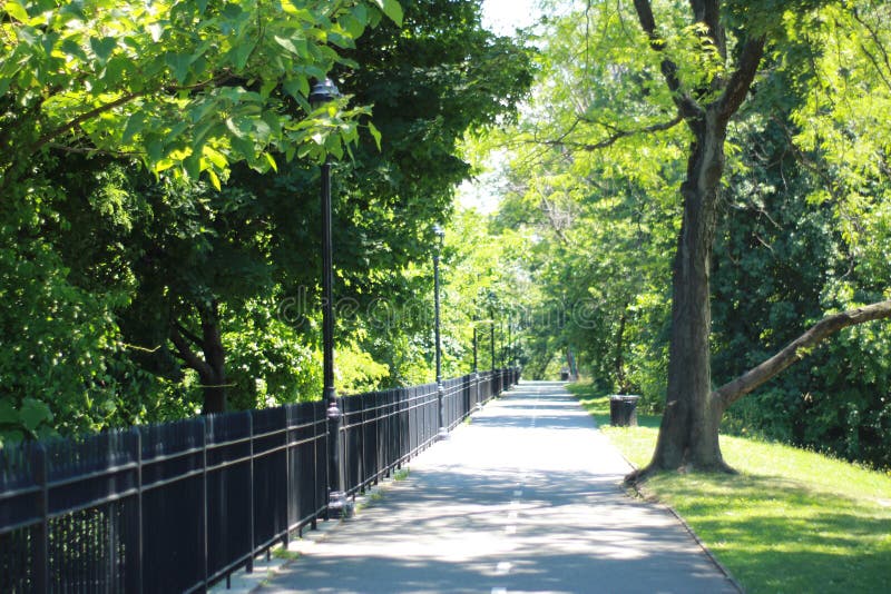 Pathway stock photo. Image of natures, outdoors, path - 119902478