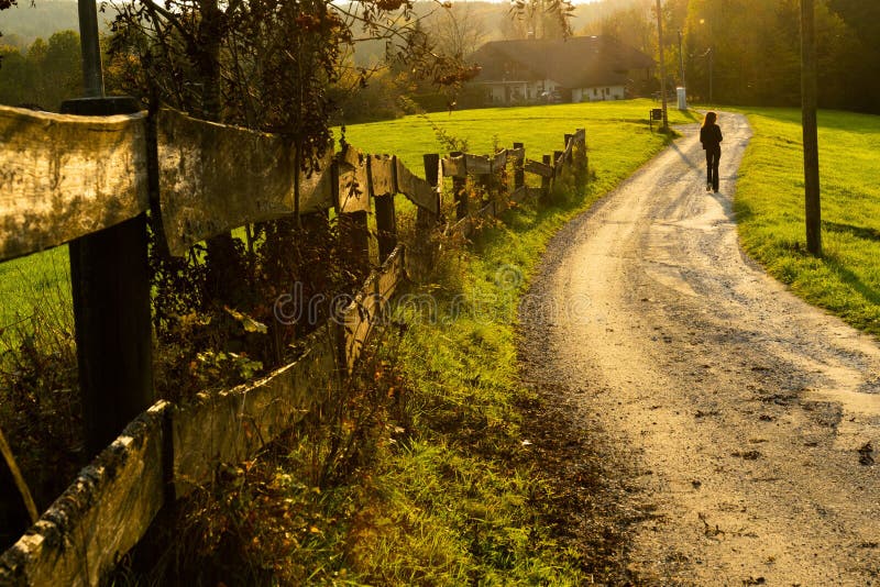 Pathway near rural fields stock image. Image of fence - 268354579