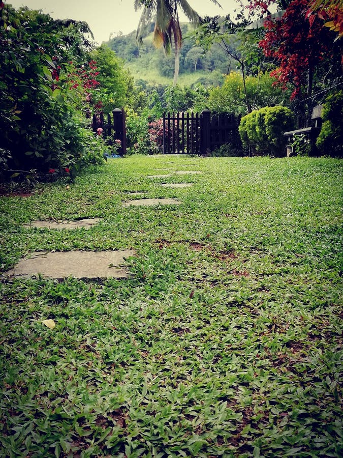 Pathway stock image. Image of nice, home, green, pathway - 128056605