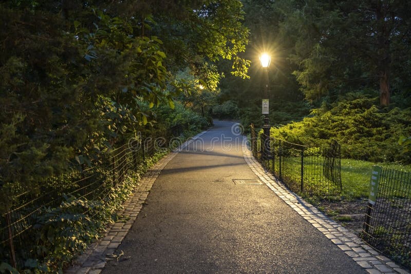 A pathway at night stock image. Image of pathway, trees - 191831519